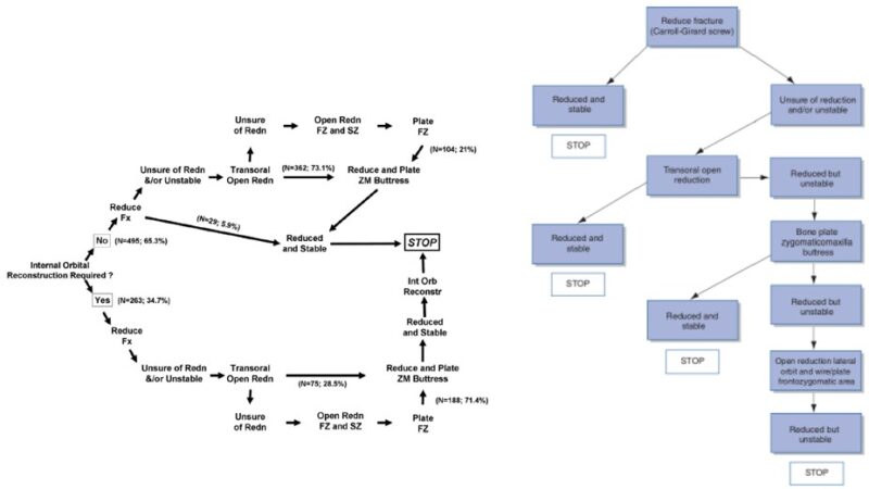 Midface - Dr. Paul Mirdamadi DDS