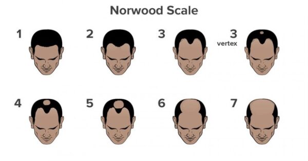 Random Anatomy - Dr. Paul Mirdamadi DDS