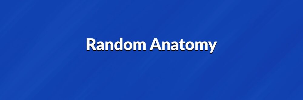 Random Anatomy - Dr. Paul Mirdamadi