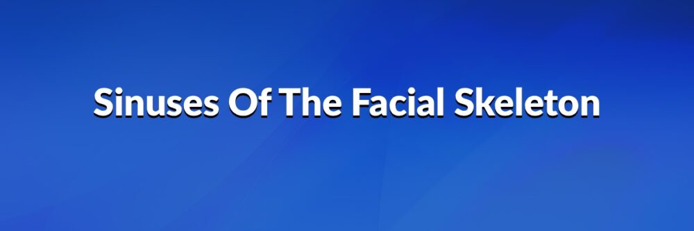 Zones of the Neck - Dr. Paul Mirdamadi