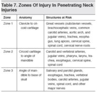 Zones of the Neck - Dr. Paul Mirdamadi DDS