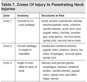 Zones of the Neck - Dr. Paul Mirdamadi DDS